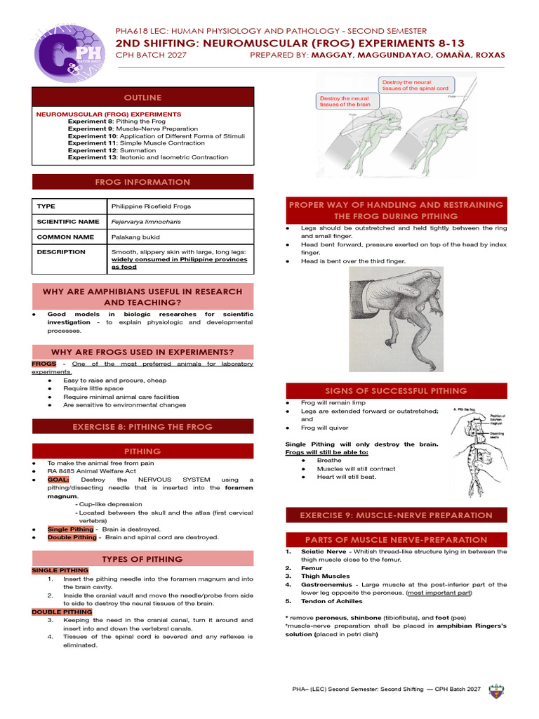 PHA 618 LAB TRANS - Neuromuscular (Frog) Experiments 8-13 | PDF
