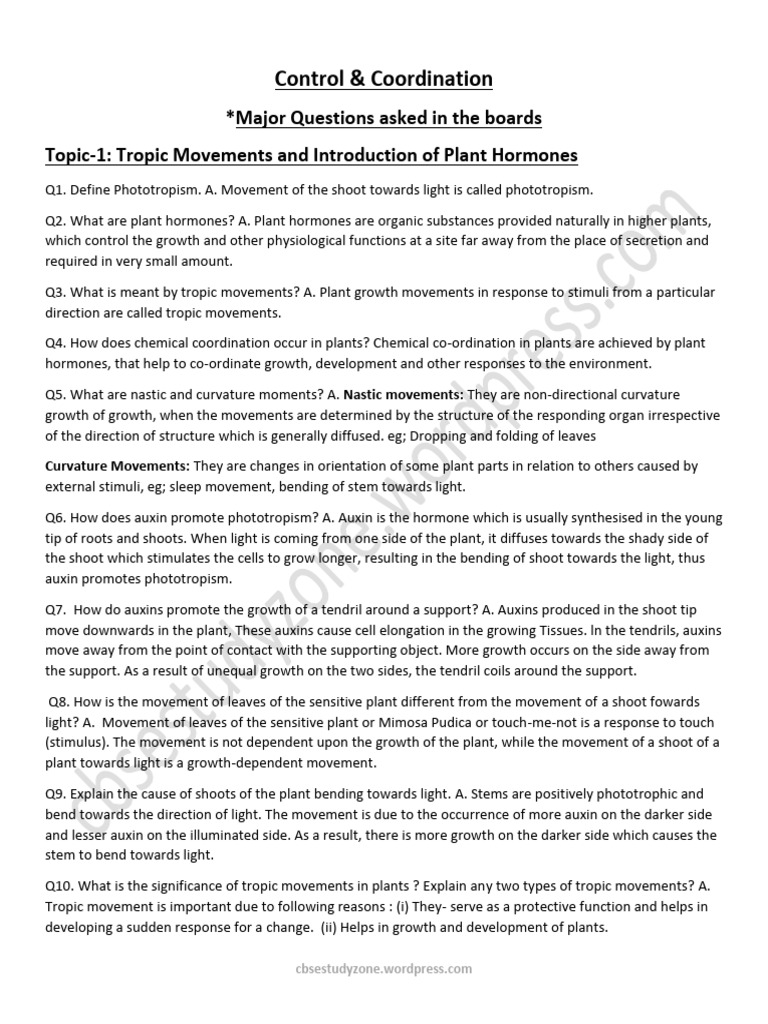 Control-Co-Ordination Full Notes | PDF