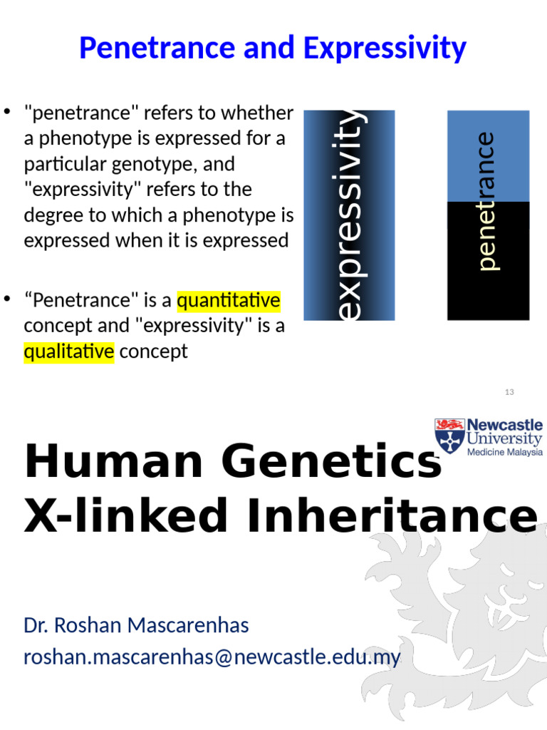 C 13 - X Linked Inheritance | PDF