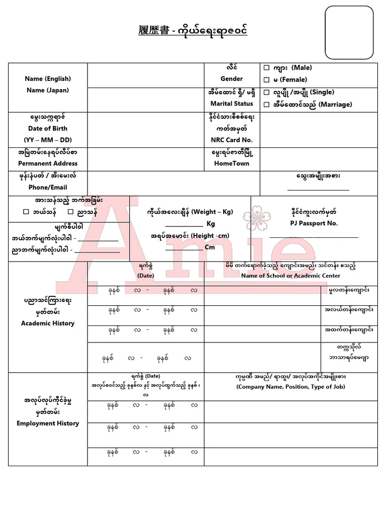 CV Form for Myanmar Applicants | PDF | Government And Personhood