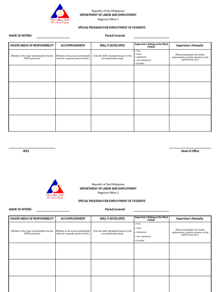 Accomplishment Report DTR SPES (1) | PDF