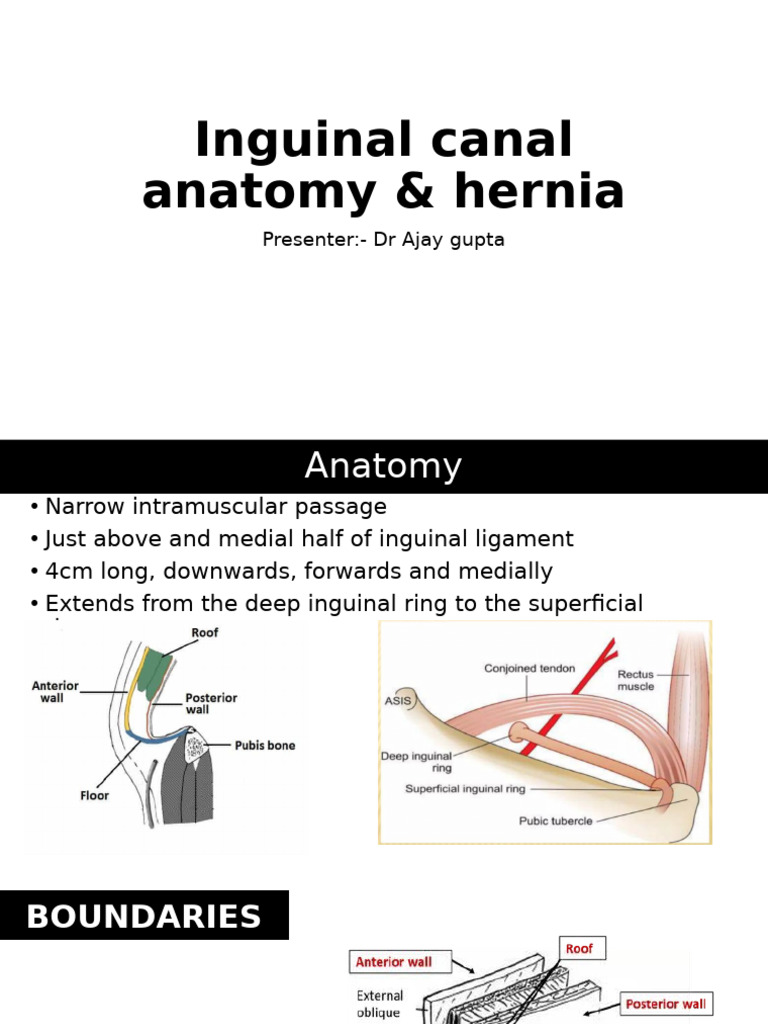 Inguinal Hernia and Operative Steps | PDF