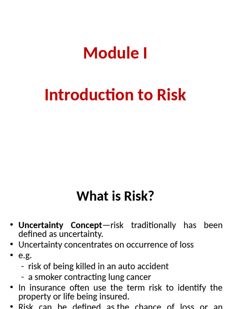 Module I Intro To Risk | PDF