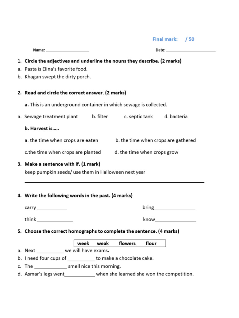 Placement Test LA Grade 3 | PDF