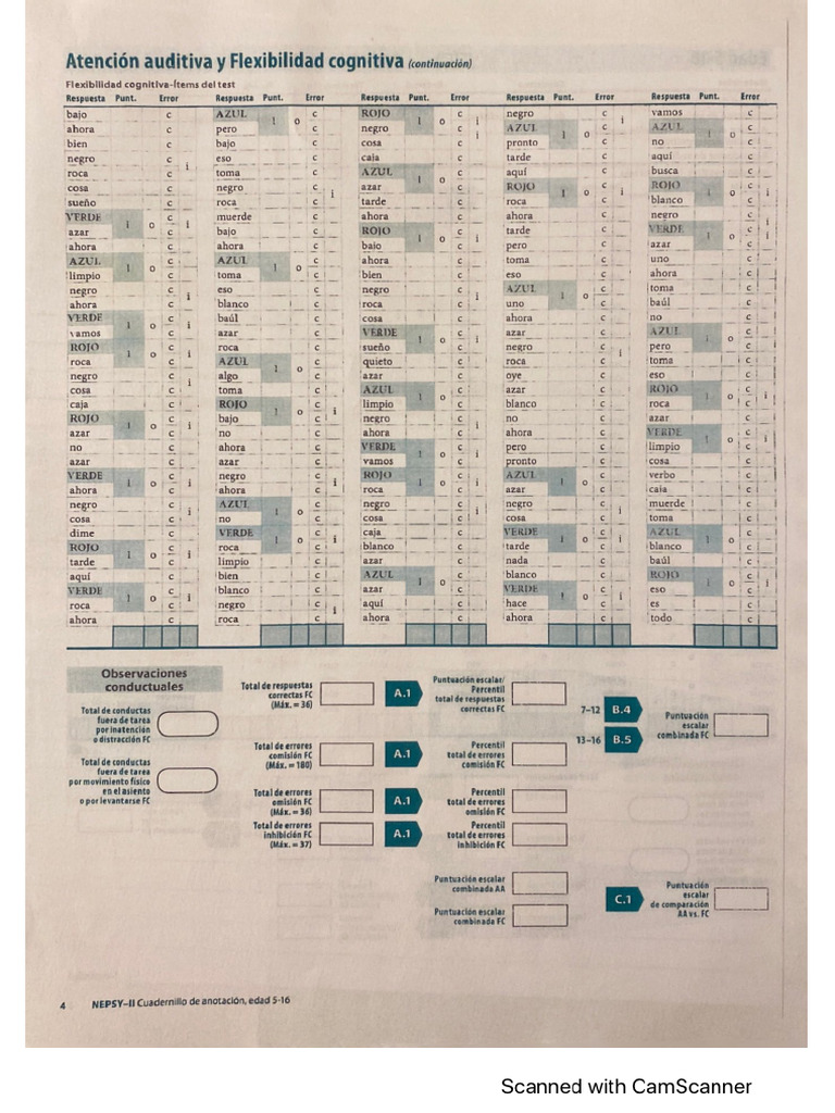 Protocolo Nepsy FLEXIBILIDAD COGNITIVA | PDF