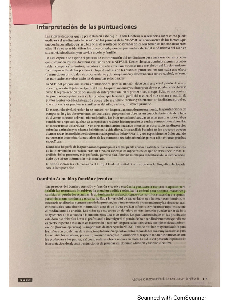 Interpretacion Puntuaciones. Test Nepsy | PDF