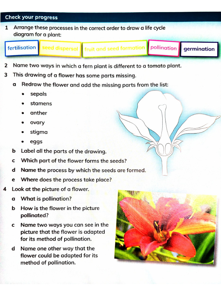 Cambridge Science Workbook 5 | PDF