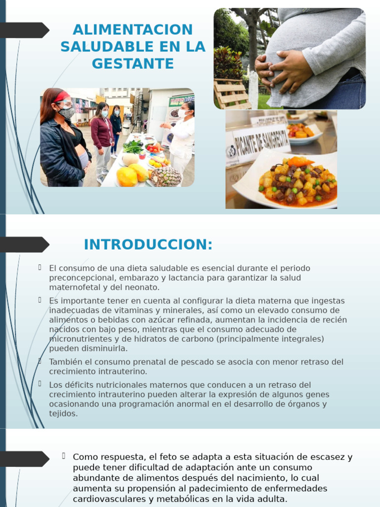 Alimentacion en La Gestante Sb | PDF
