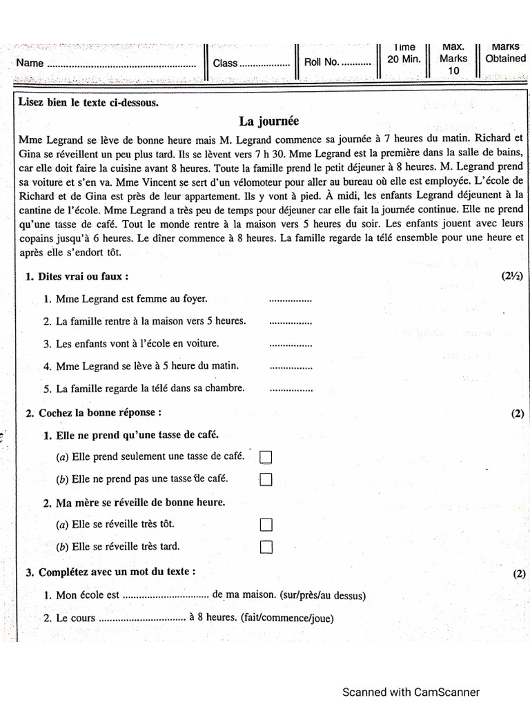 CBSE 8 (DPT 66) French Passage and Writing Skill. | PDF