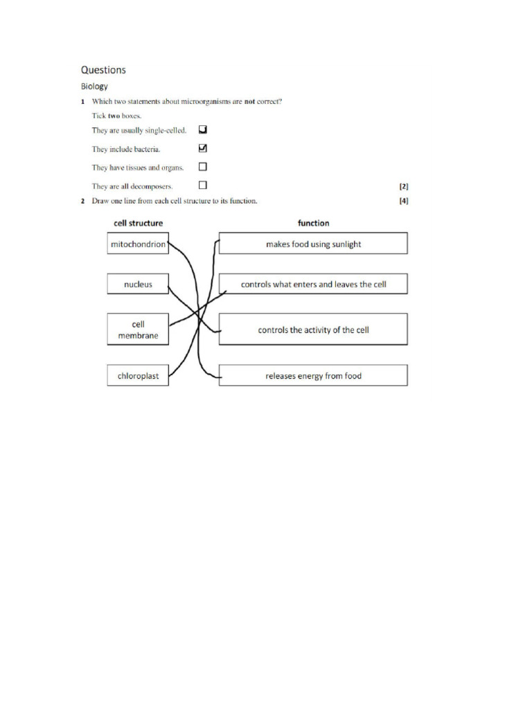 Science | PDF