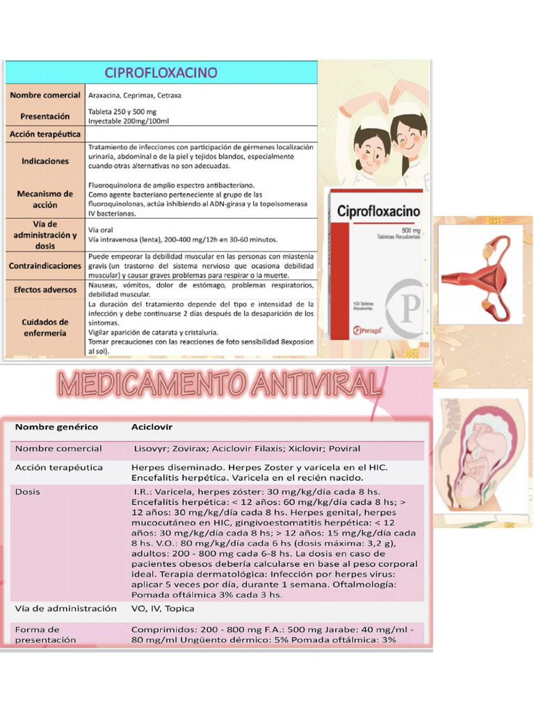 Documento (Imagen) | PDF