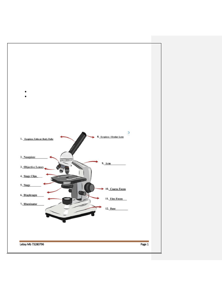 Cells | PDF