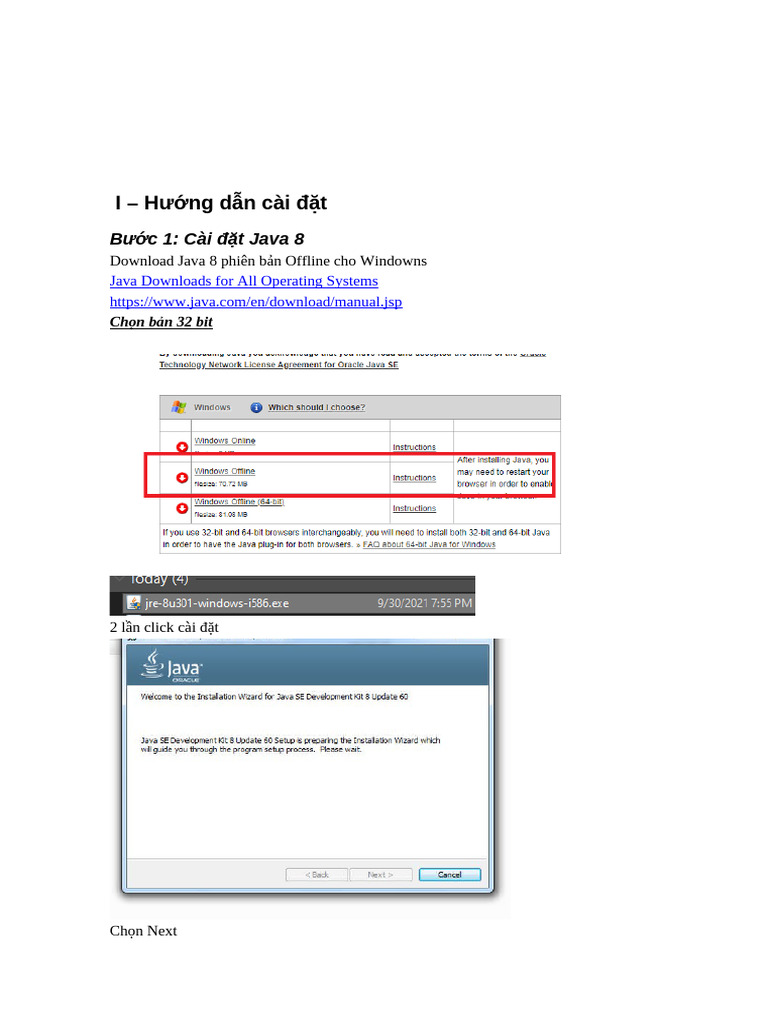 EBS R12 Cấu hình IE11 dùng java 8 vào hệ thống | PDF