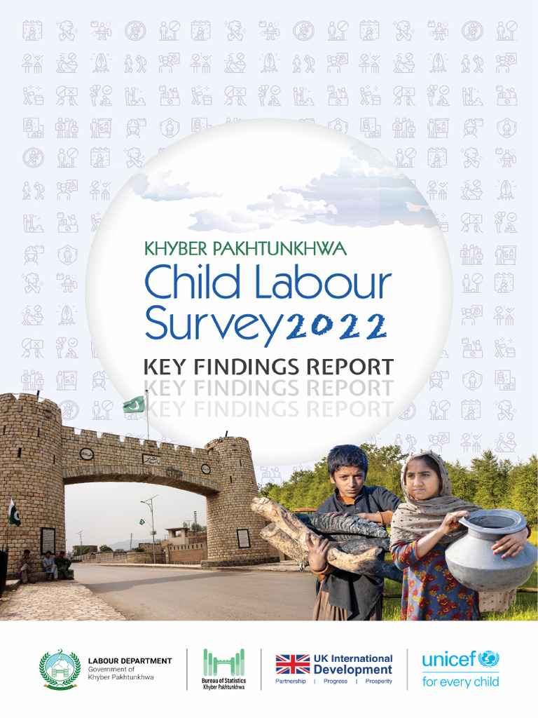 Child Labour Survey Key Findings | PDF