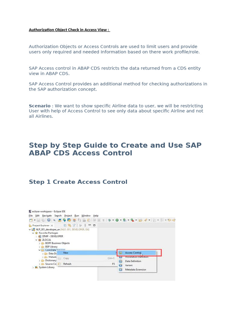 Authorization Object Check in Access View | PDF