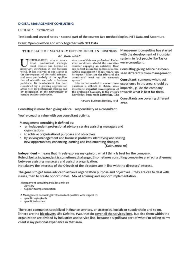 Digital Management Consulting | PDF