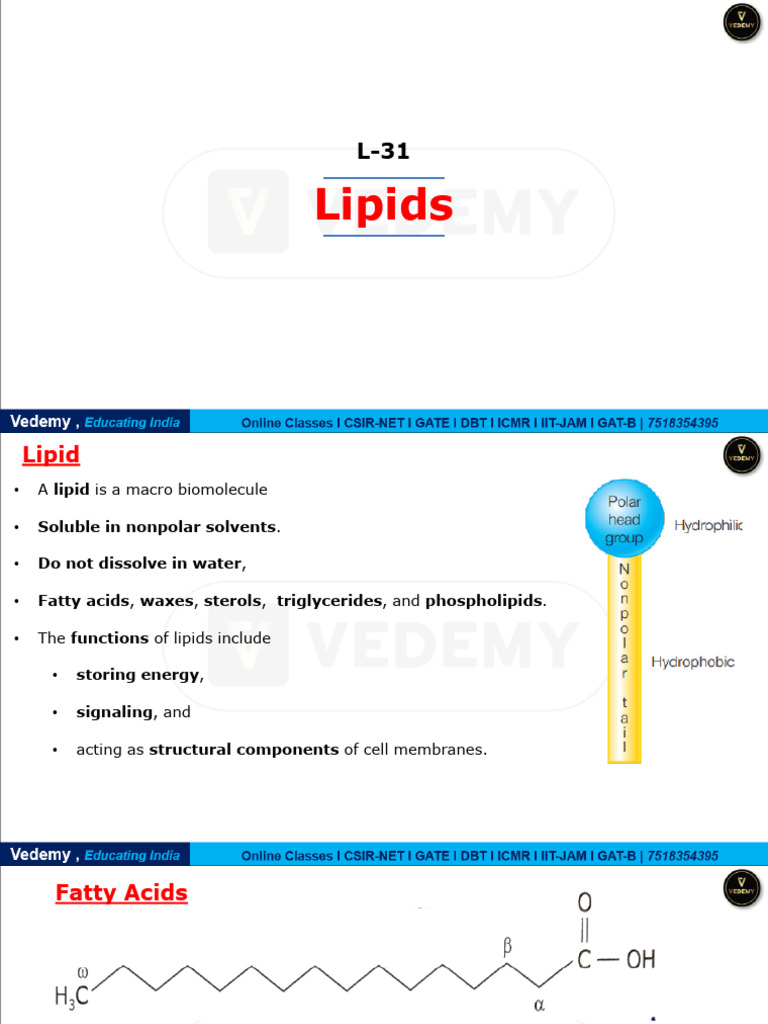 Lipids 31 | PDF