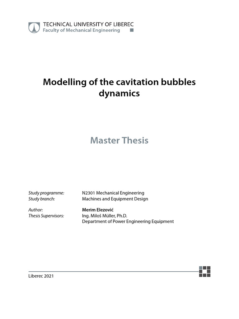 Elezovic_2021_MasterThesis_Modelling_of_the_cavitation_bubbles_dynamics | PDF