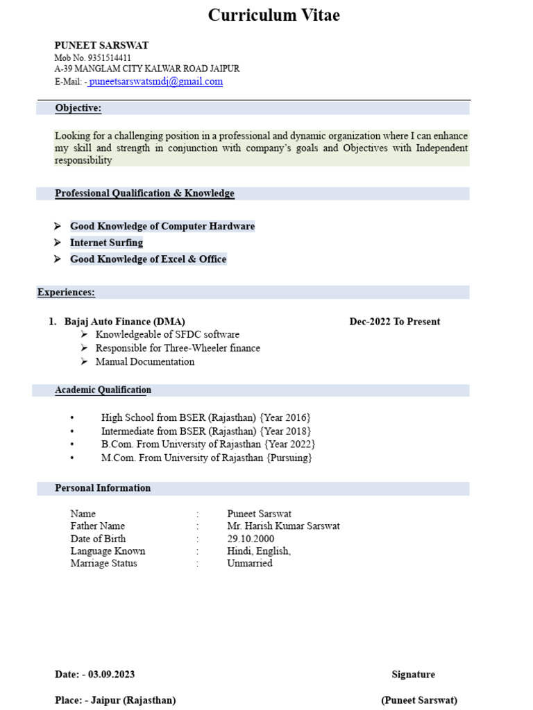 Puneet Sarswat CV | PDF
