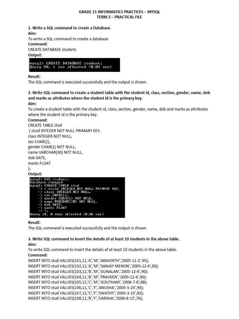 11 IP Term2 Practical File | PDF