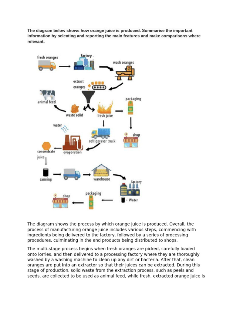Process Practice | PDF