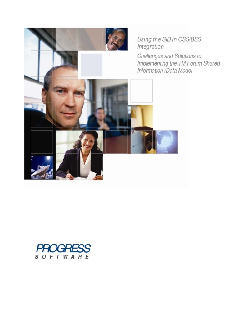 DX SI - Using SID in OSS Integration | PDF | Application Programming ...