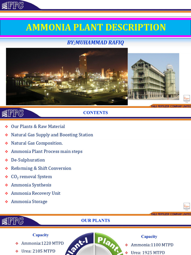 Amm - Plant Description | PDF