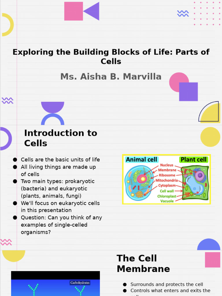 Exploring The Building Blocks of Life - Parts of Cells | PDF