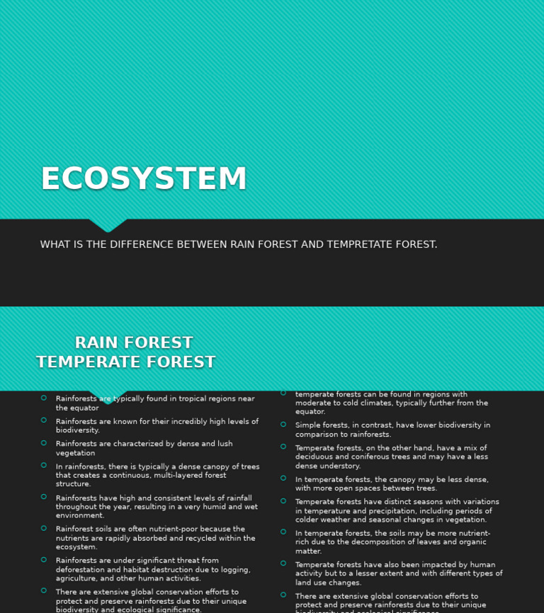 Difference Between Forest and Rain Forest | PDF