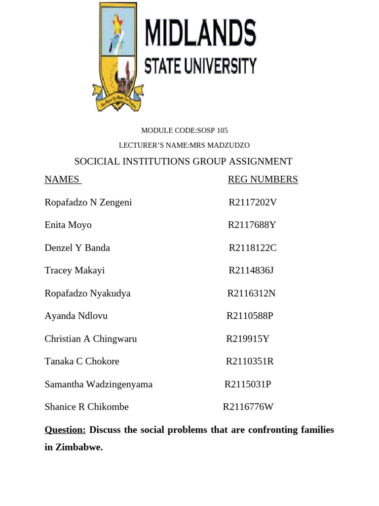 Social Institutions Group Assignment | PDF