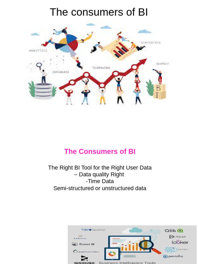 Unit 3 - The Consumers of BI | PDF