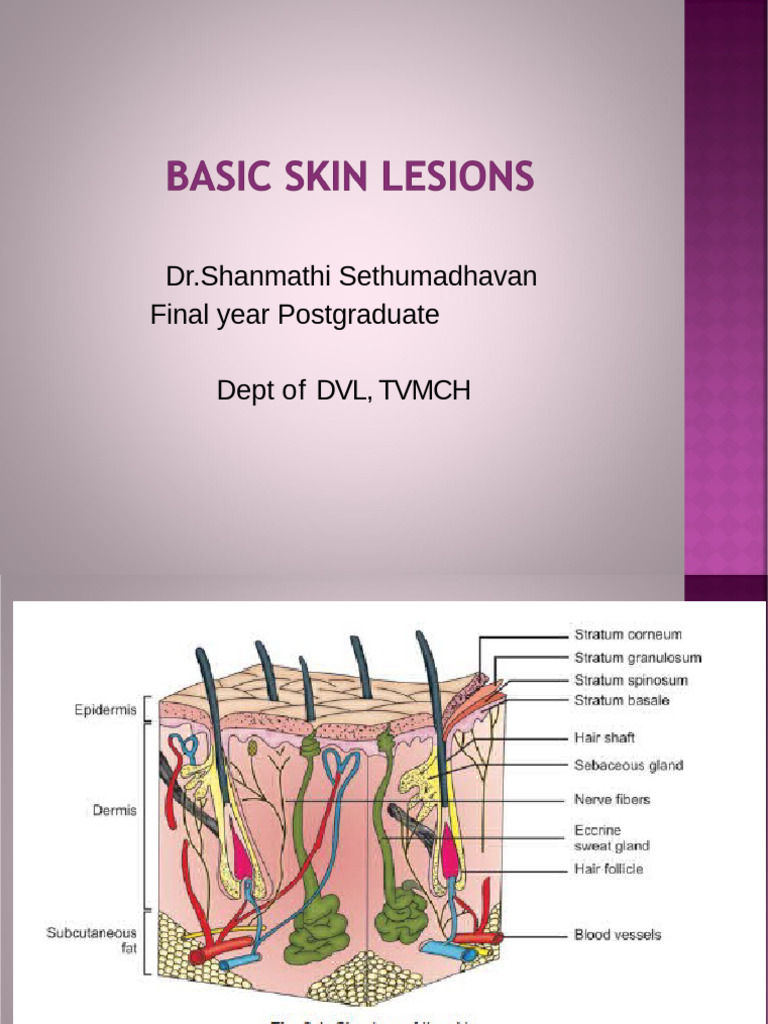Basic skin lesions 1 | PDF