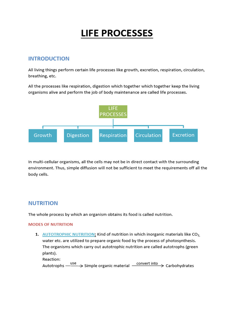 Life Processes | PDF