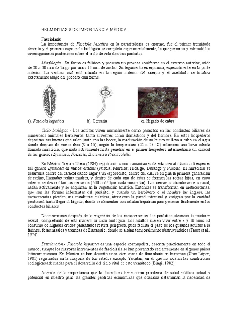 Helmintiasis de Importancia Médica | PDF | Nematodo | Enfermedades animales