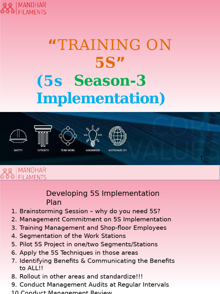 5S Implementation | PDF