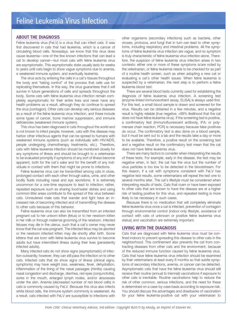 Feline Leukemia Virus Infection FeLV | PDF