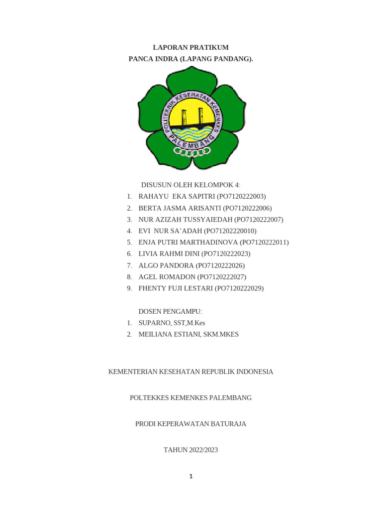 Lapang Pandang 2 | PDF