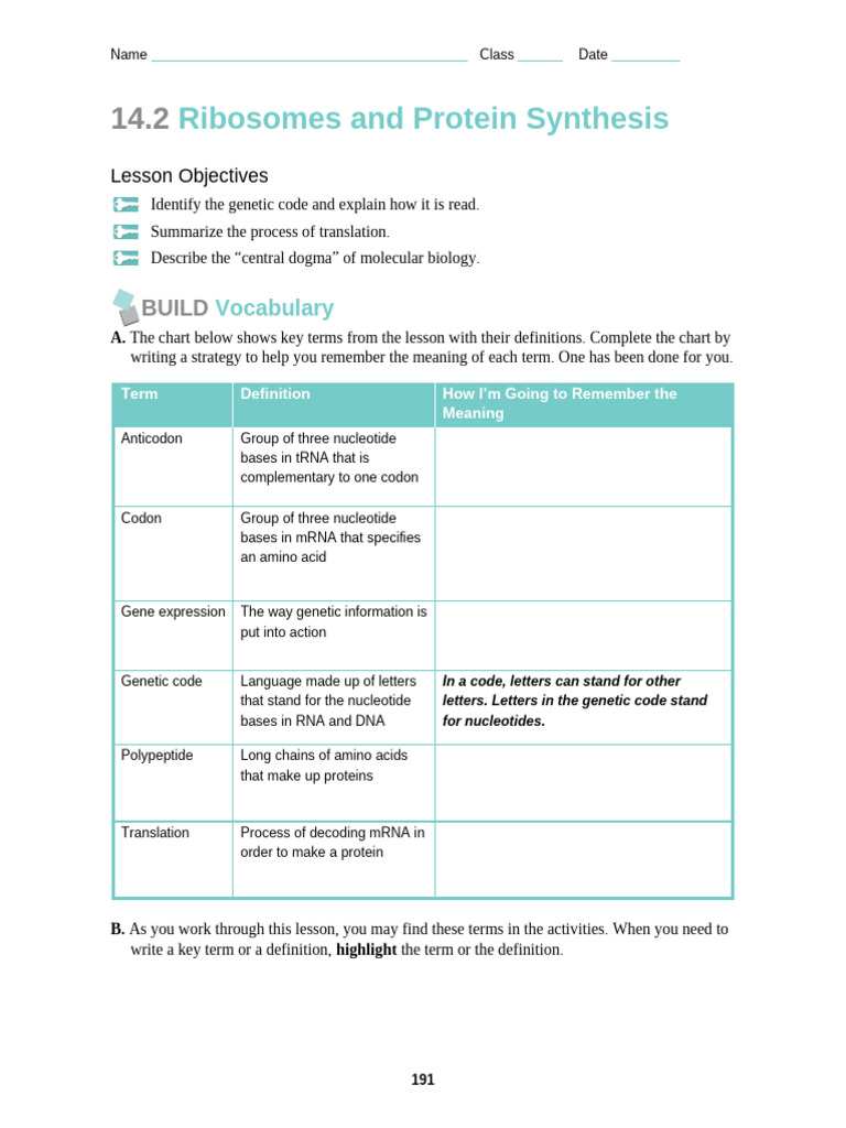 Ribosomes and Protein Synthesis: Build | PDF