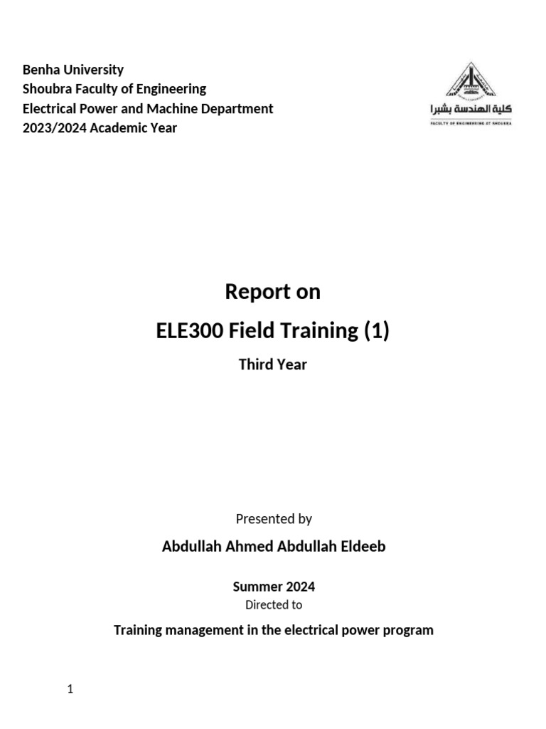 Eldeeb Training (1) Report | PDF