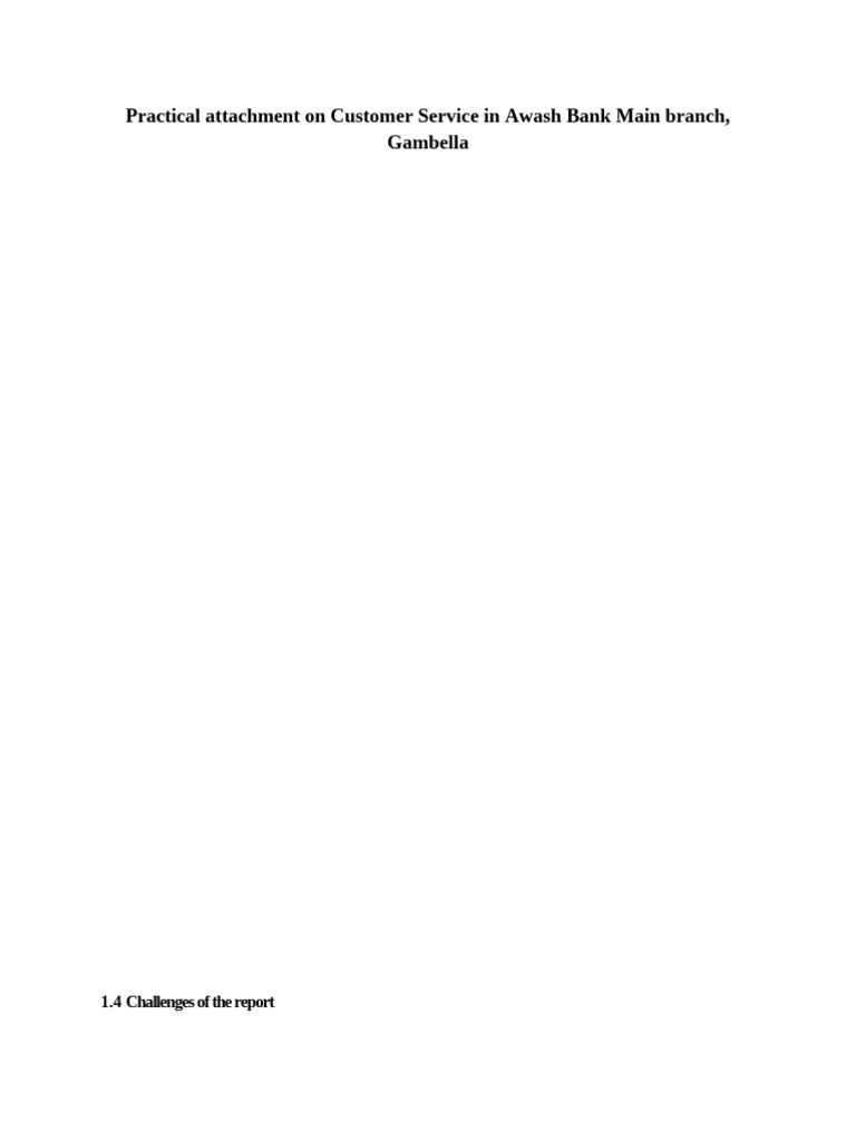 Practical Attachment | PDF