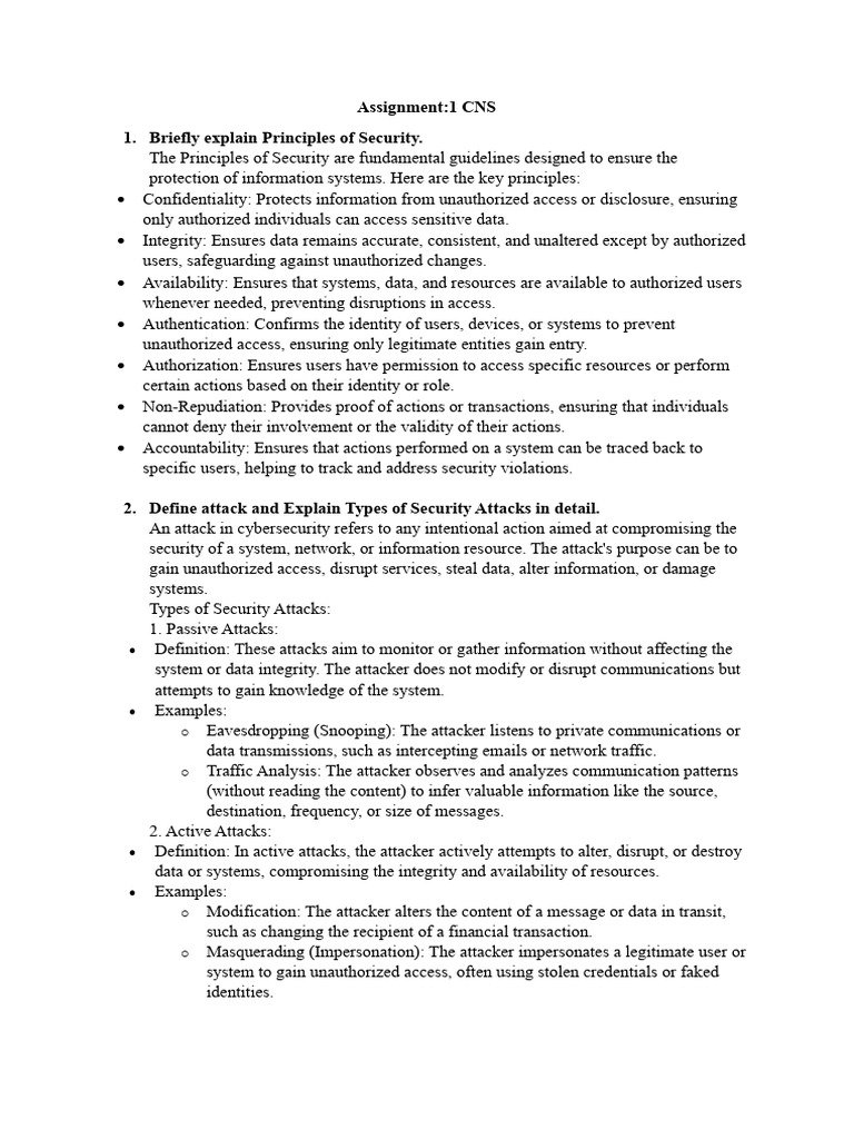 CNS - Assignment 1 Solution | PDF
