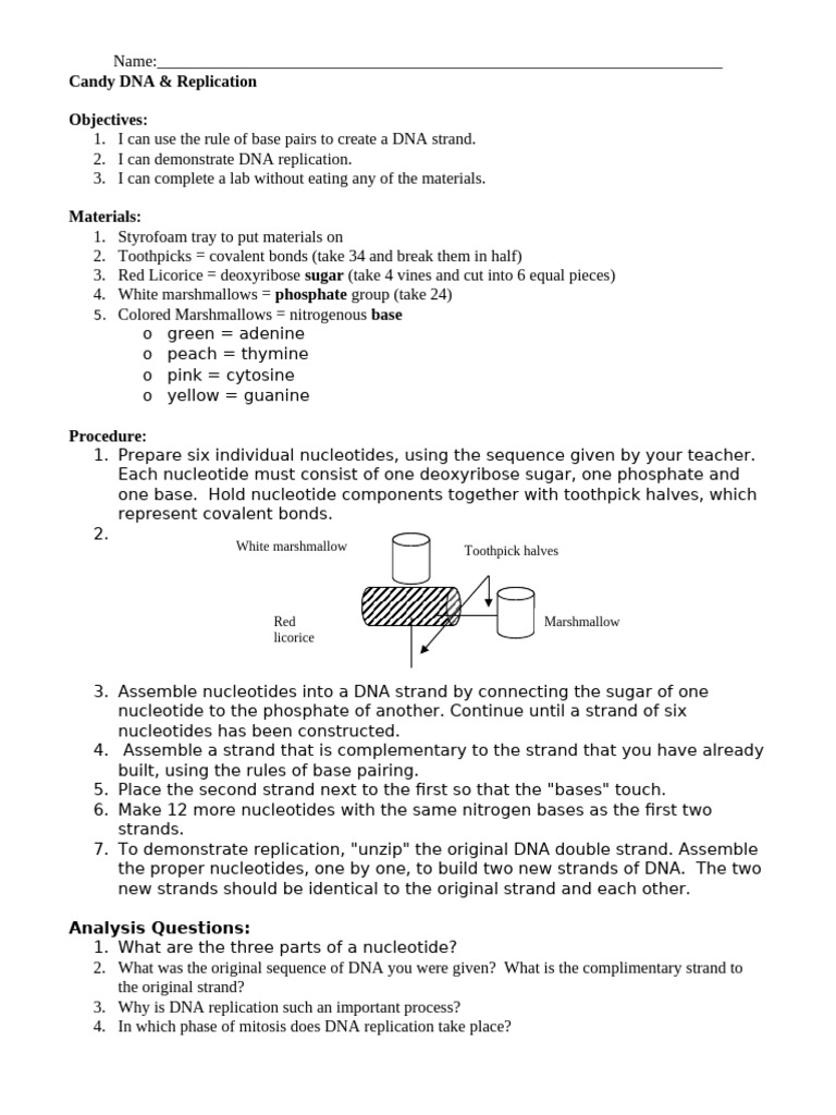 15 - DNA Candy Lab | PDF