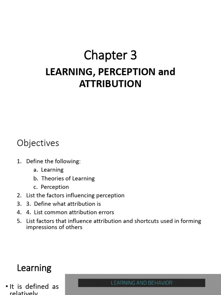 Chapter-3-Learning-Perception-and-Attribution (1) | PDF