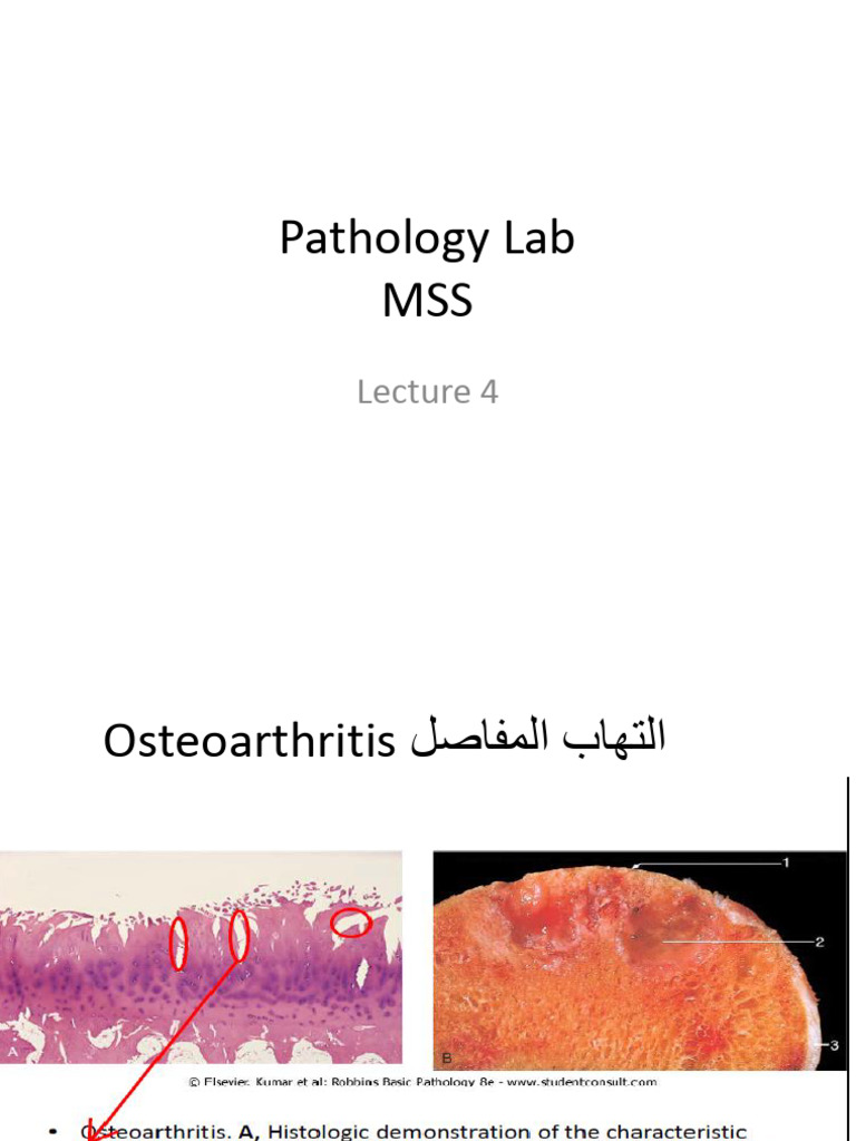 Patho Lab 4 | PDF