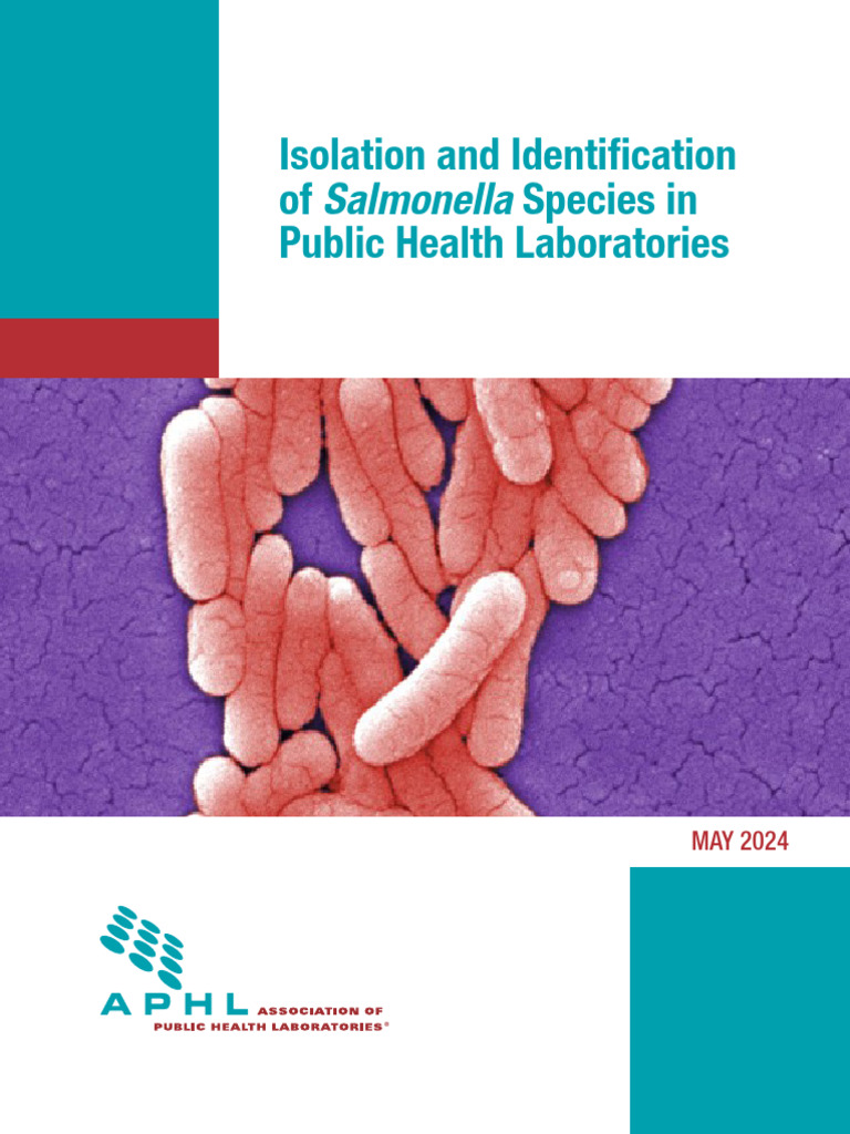 Isolation Identification Salmonella PHLs | PDF