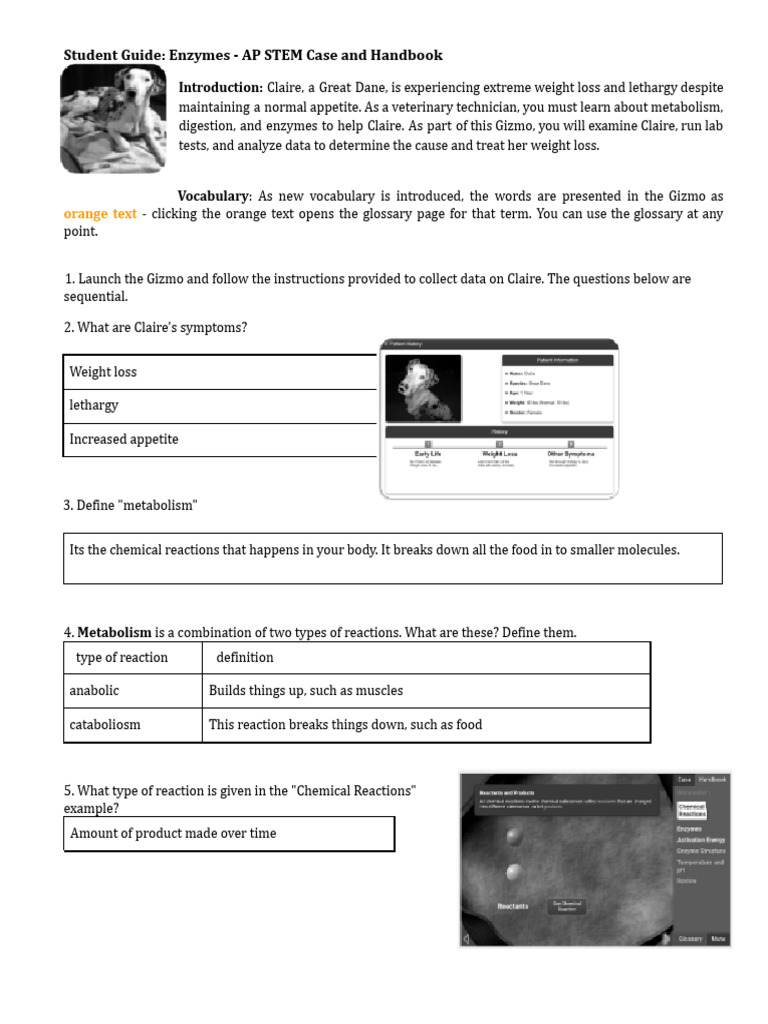 Gizmo - Enzymes Stem Case Student Guide | PDF