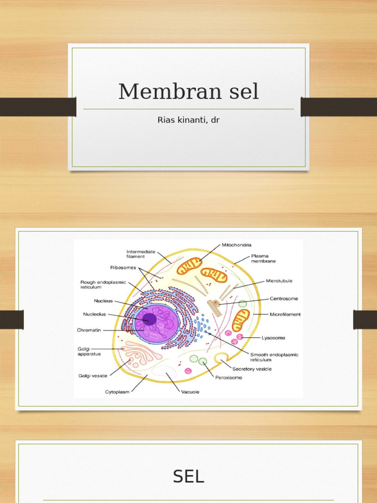 BIOLOGI Membran Sel | PDF