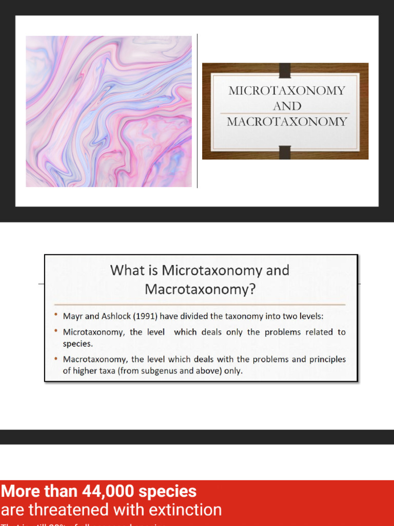 Chapter 4 Microtaxonomy | PDF