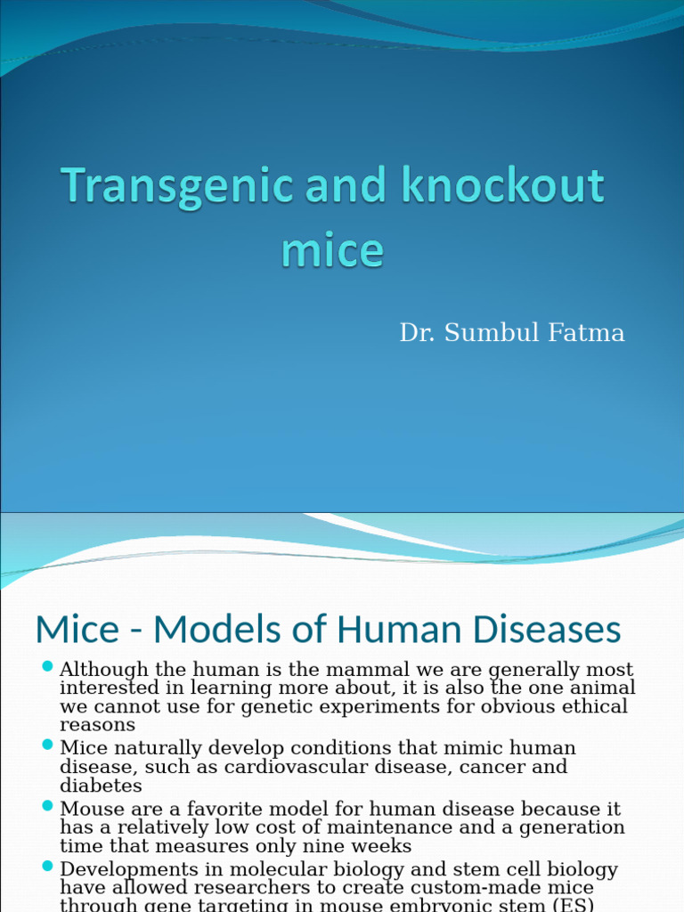3-Knockout and Transgenic Mice | PDF