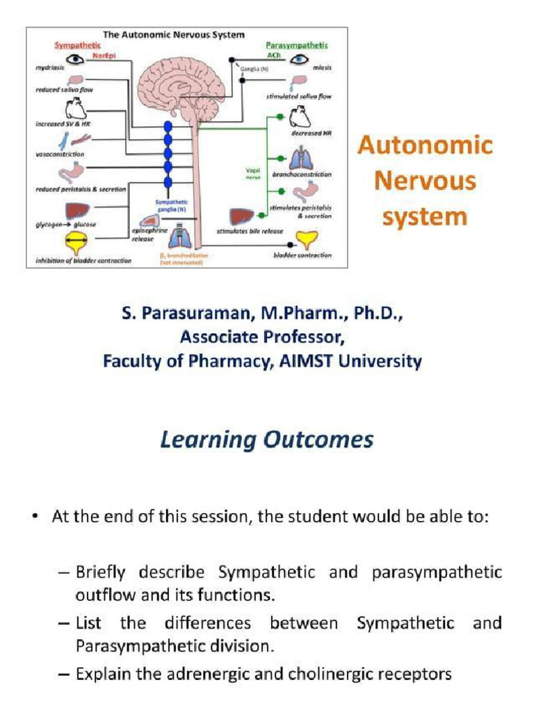 Autonomic Nervus Systemo | PDF